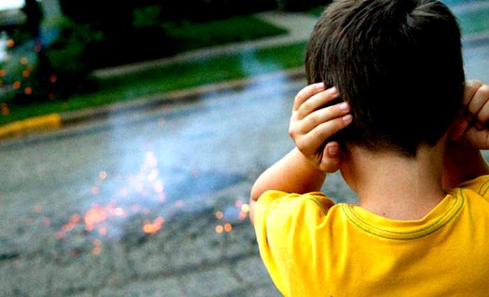 "Más luces y menos ruido". Campaña para reducir la pirotecnia de ...